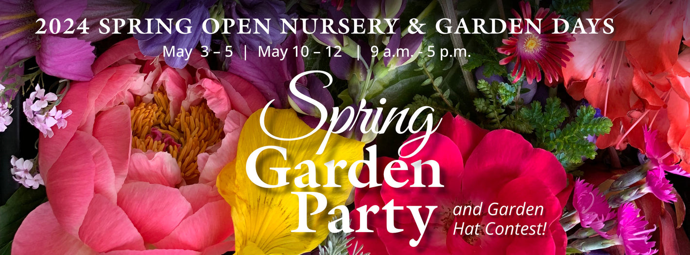 Open Nursery and Garden Days | Free Entry
