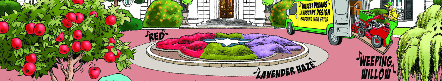 Perennial Garden Plants, Online Nursery | Plant Delights Nursery