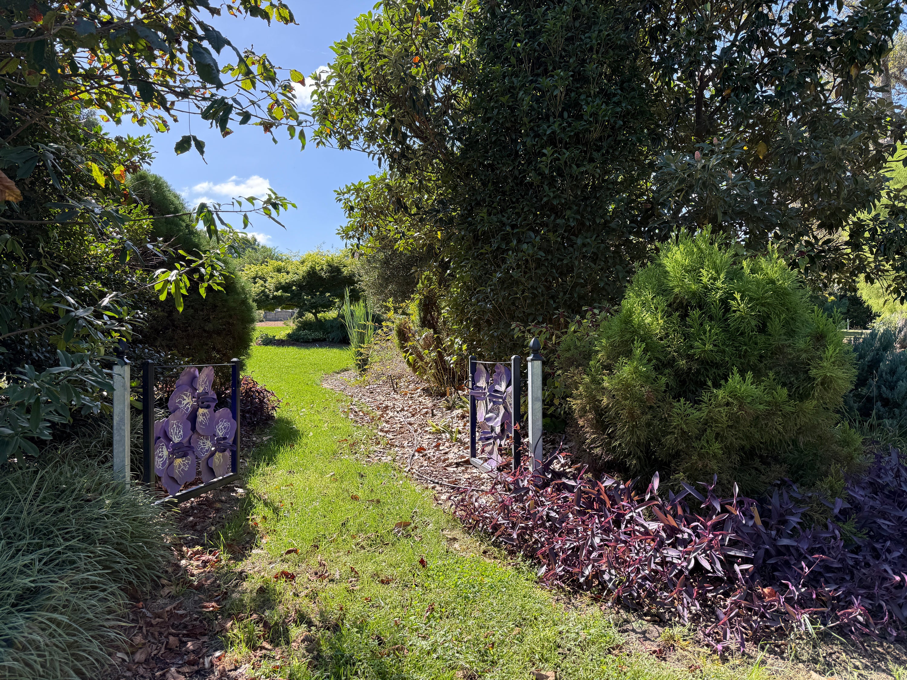 Perennial Garden Plants, Online Nursery | Plant Delights Nursery