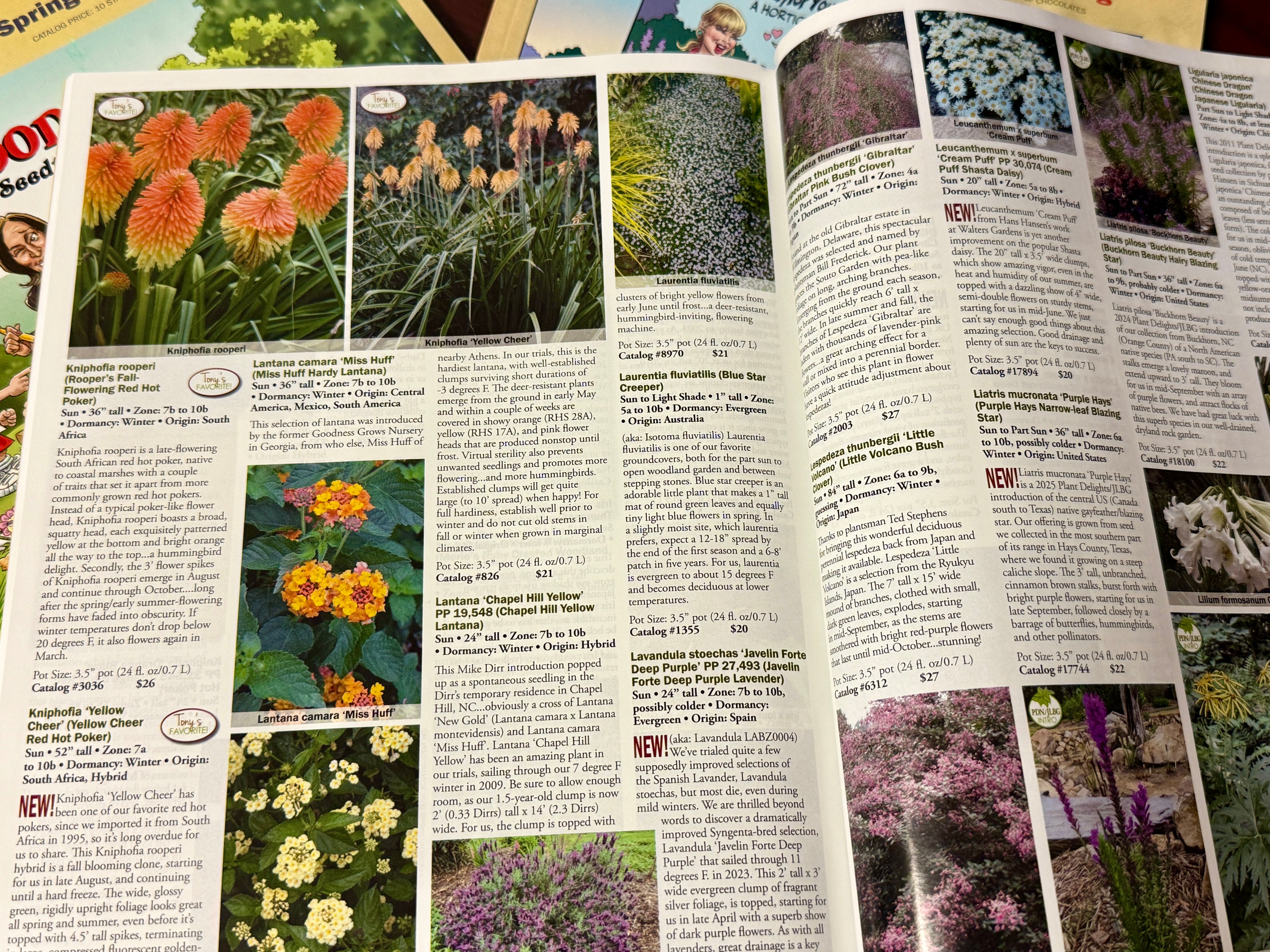 Guide to Using the Catalog